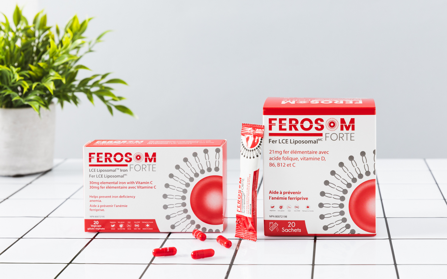 Resources – Ferosom Forte